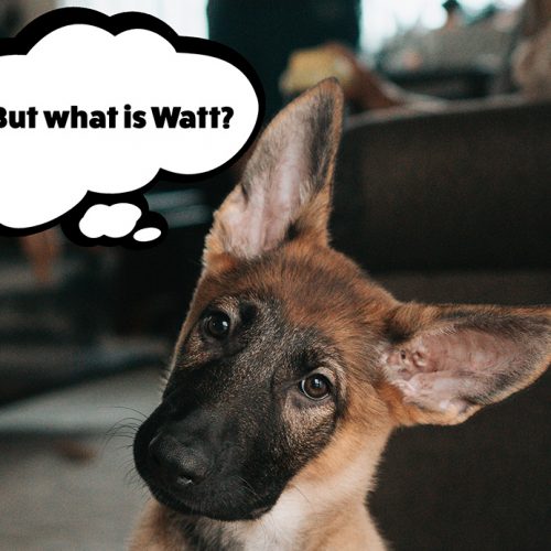 How Many Watts From a Cigarette Lighter? (Power Output Test) - Cornwall ...